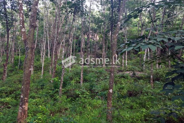 9 Acres Scenic Land for Sale at Ruwanwella - Ruwanwella | adsme.lk