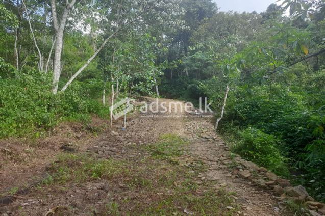 9 Acres Scenic Land for Sale at Ruwanwella - Ruwanwella | adsme.lk