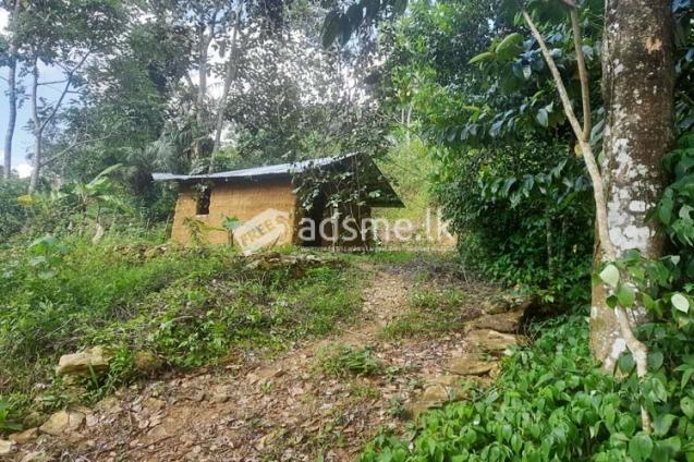 9 Acres Scenic Land for Sale at Ruwanwella - Ruwanwella | adsme.lk