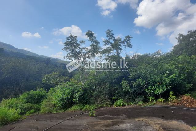 9 Acres Scenic Land for Sale at Ruwanwella - Ruwanwella | adsme.lk